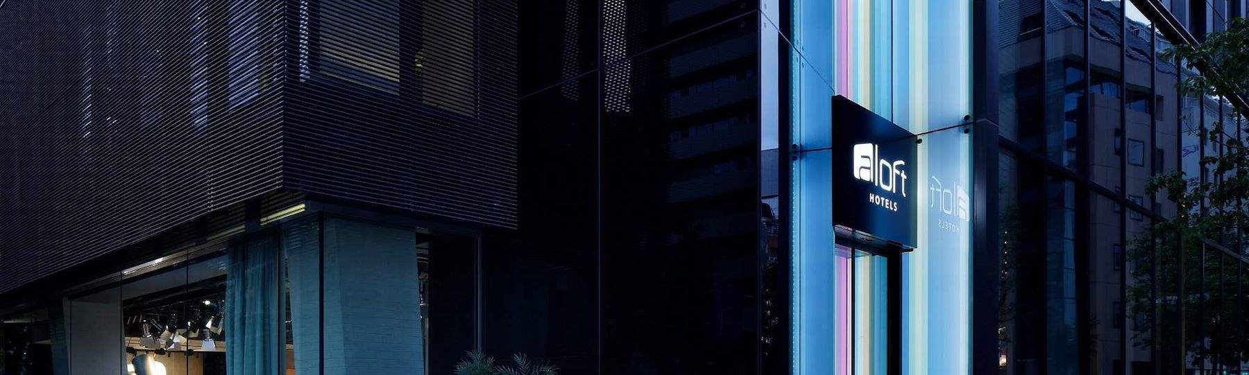 Access,the W XYZ Bar Access